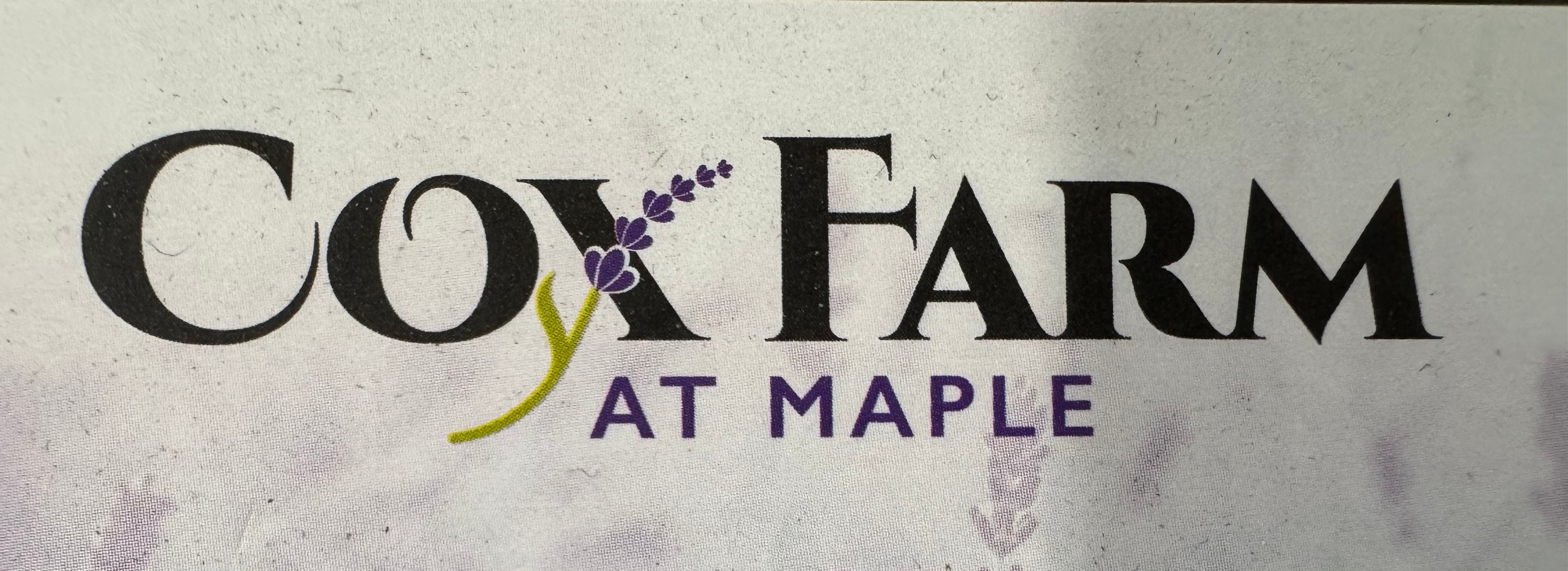 Sauces – University of flavor